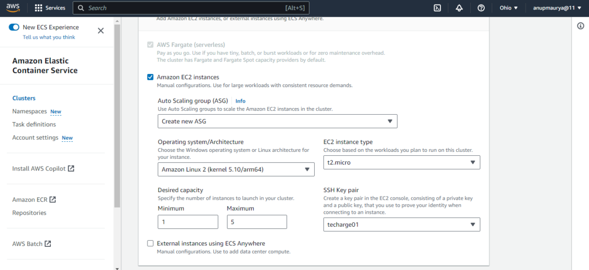 Explore the ECS service, set up the necessary configurations, and ...